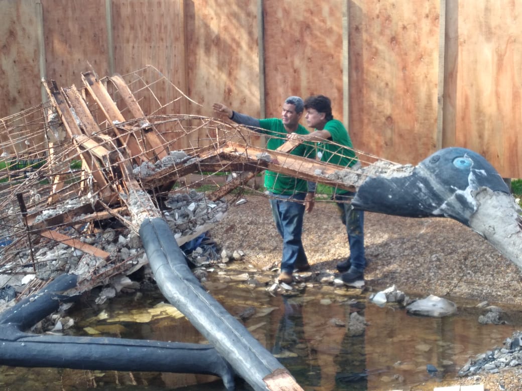 Inspiração no Pantanal fez Cleir criar ‘Tuiuiús do Aeroporto ...
